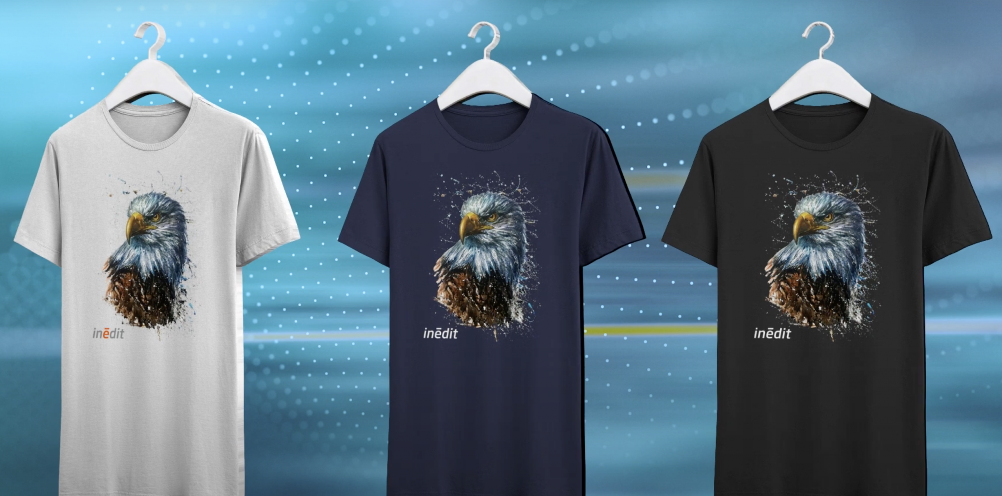 Understanding the advantages of RIP Software for DTG – Inèdit Software